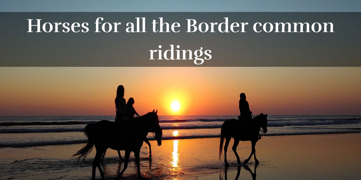 Lasswade Stables – We're ALL about HORSES!